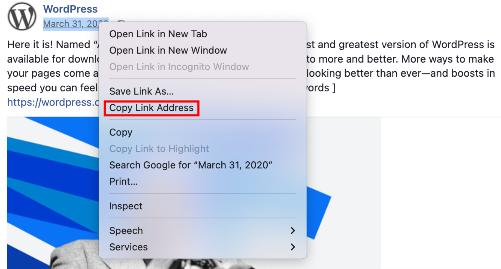 Facebook embed – Documentation – WordPress.org